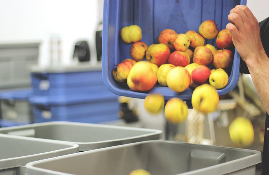 About Us – Pulp & Press USA Inc.